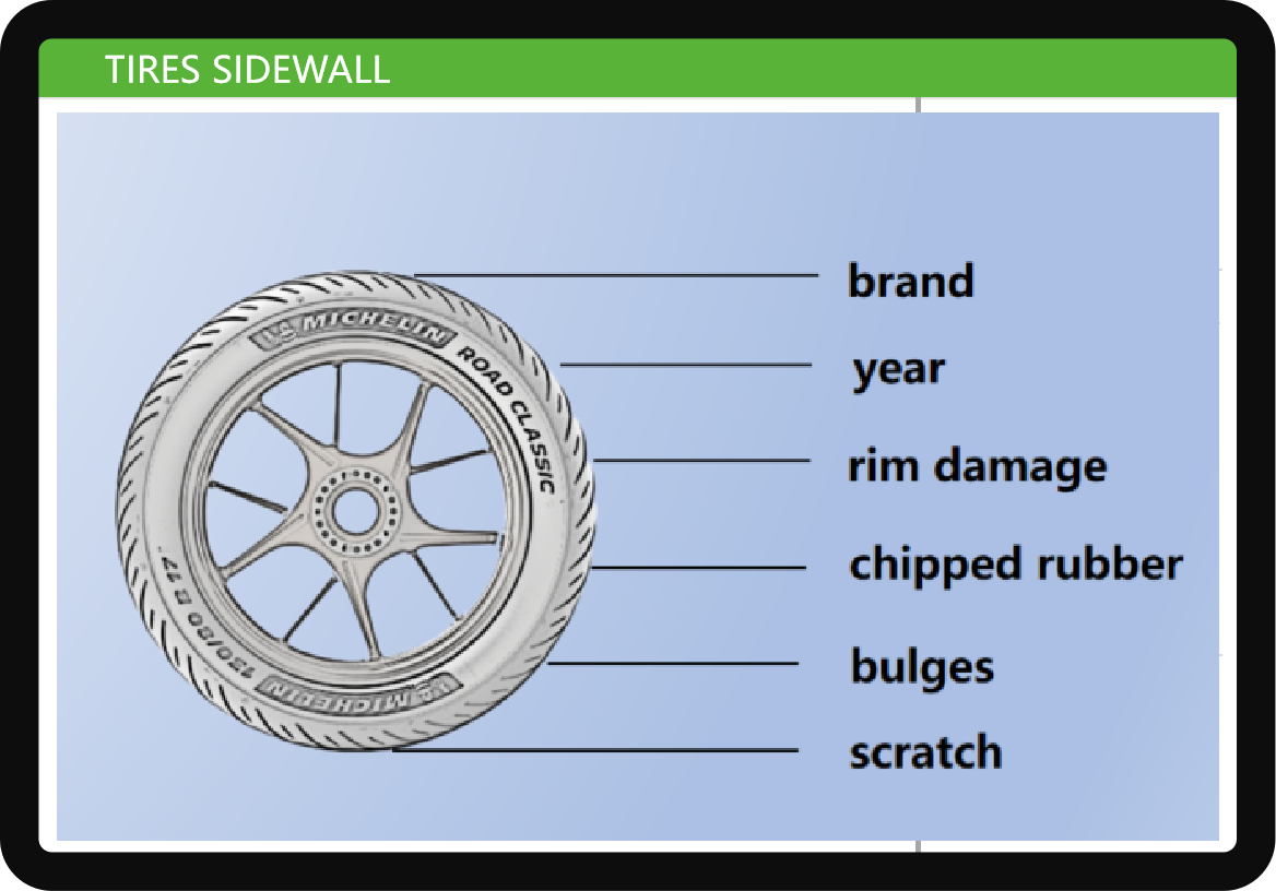 Tire sidewall inspection scanner